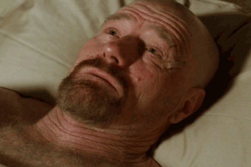 The 34 Craziest WTF GIFs You ll Ever See
