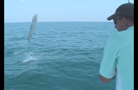 You Don't Catch A Barracuda, It Catches You