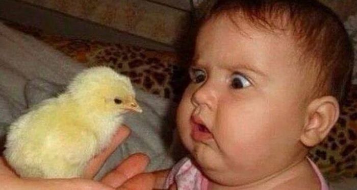 Reaction GIFs: 41 Animated GIFs That Capture All Of Our Emotions