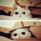 Snoopybabe: The Definitive Gallery Of Instagram's Cutest Cat