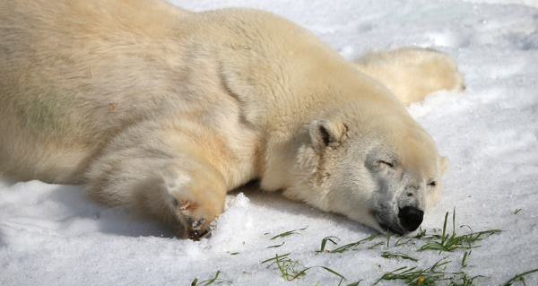 43 Cutest Pictures Ever Seen On The Internet