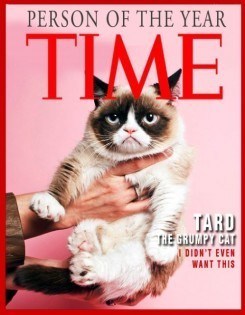 The Forty Cutest Grumpy Cat Pictures