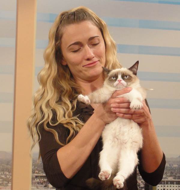 The Forty Cutest Grumpy Cat Pictures