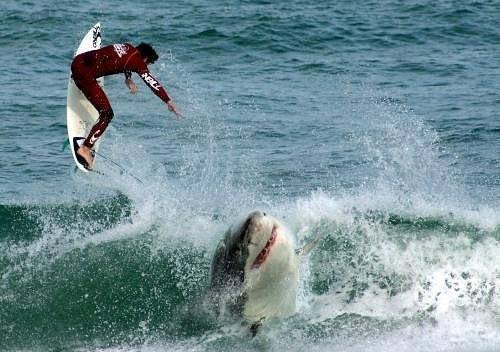 Narrow Escapes GIFs That Will Make You Sweat